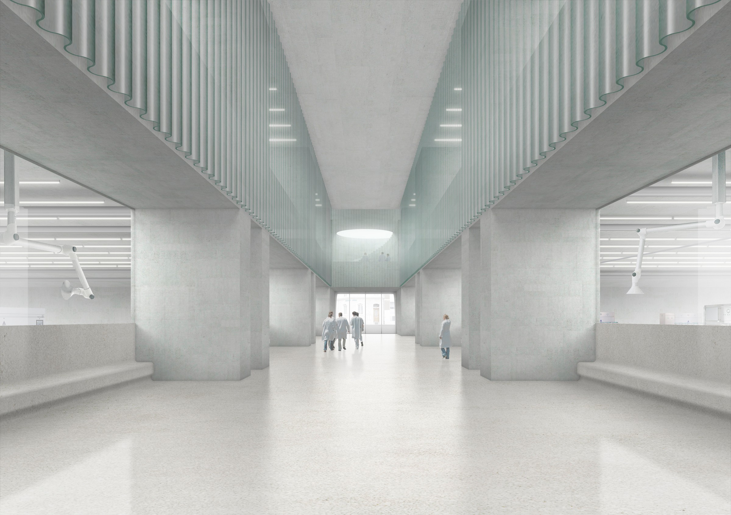 University of Basel Department of Biomedicine | Projects | Caruso St ...