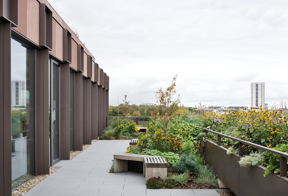 St Pancras Campus | Projects | Caruso St John Architects