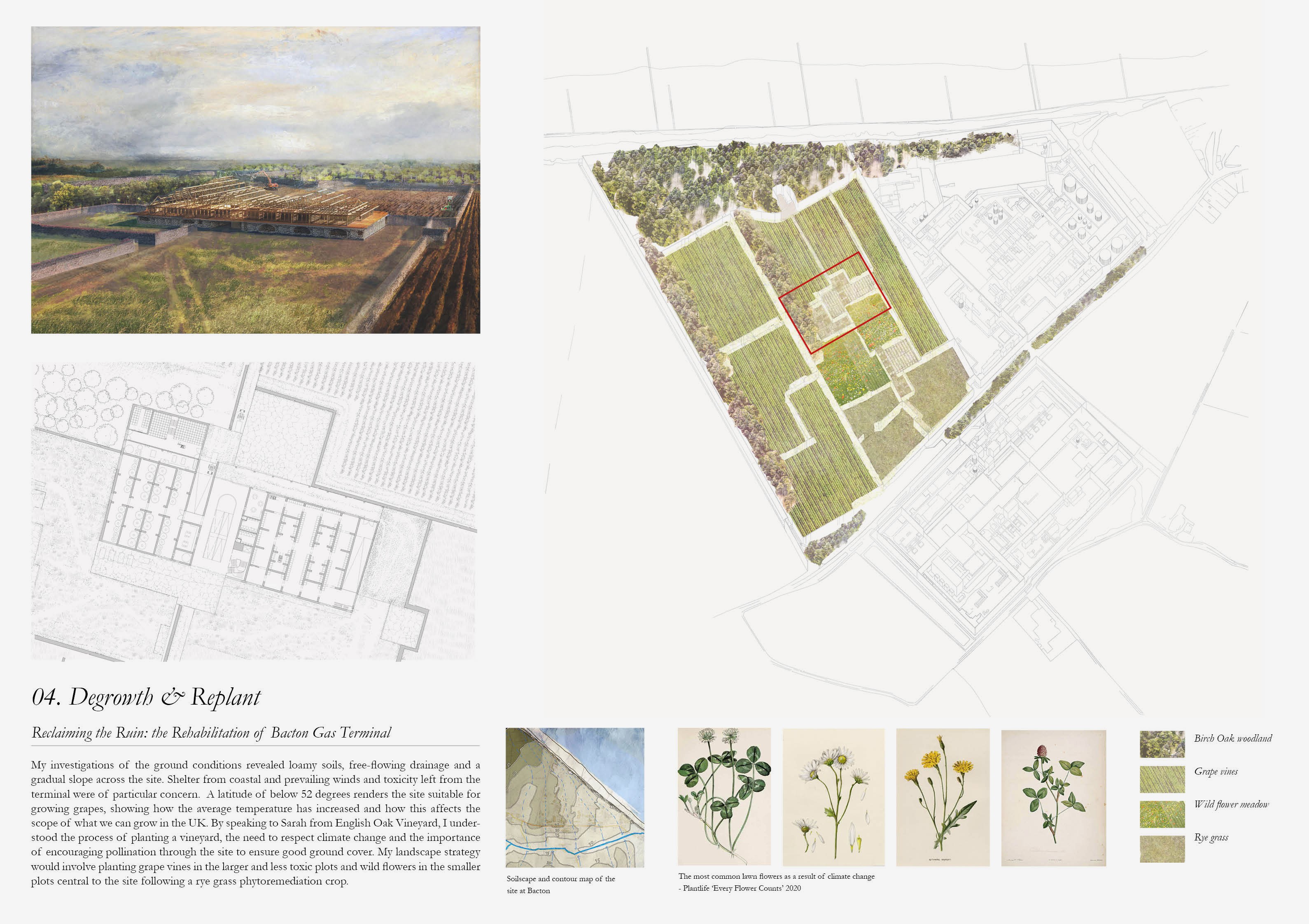 University of Cambridge: RIBA Bronze Medal Commendation | News | Caruso ...