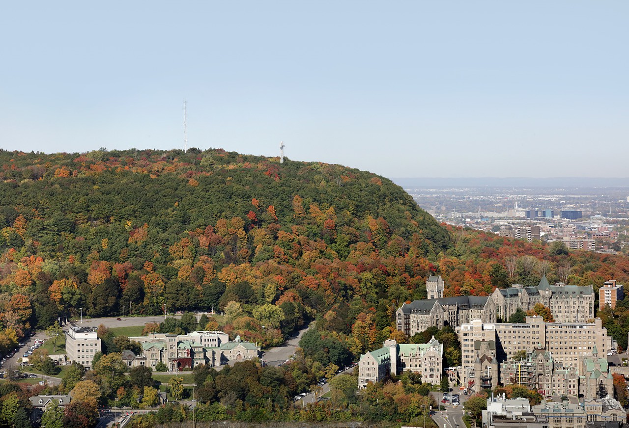 Mount Royal: Adam Caruso | News | Caruso St John Architects