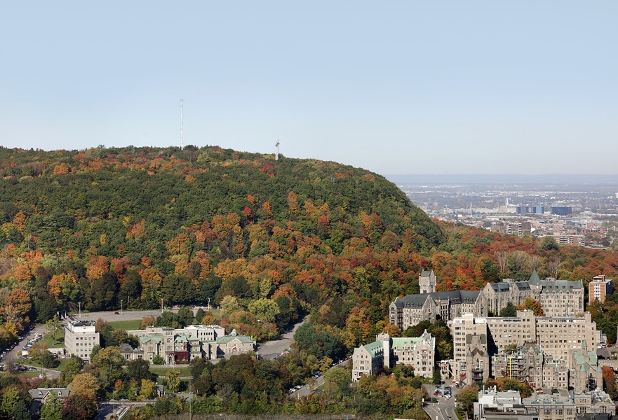 Mount Royal: Adam Caruso | News | Caruso St John Architects