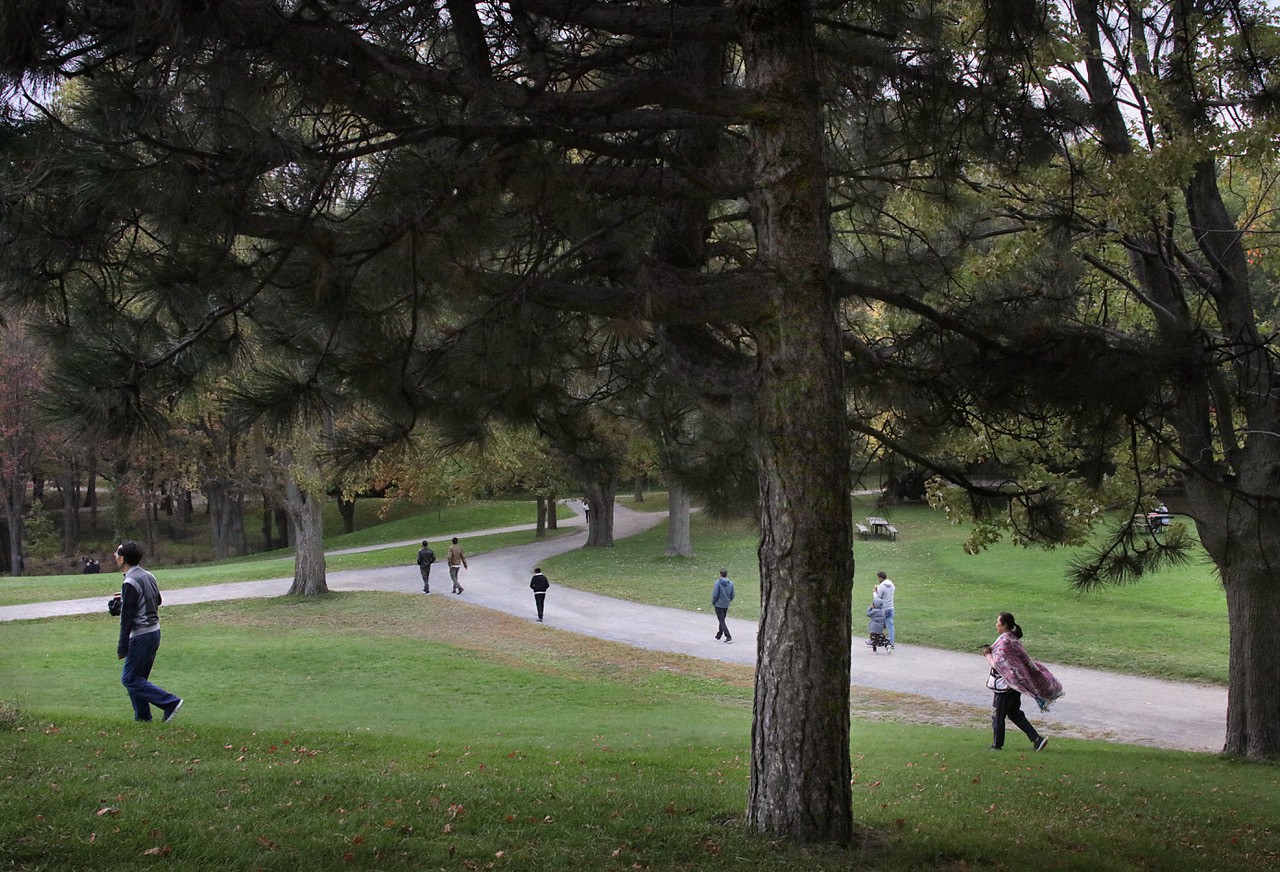 Mount Royal: Adam Caruso | News | Caruso St John Architects