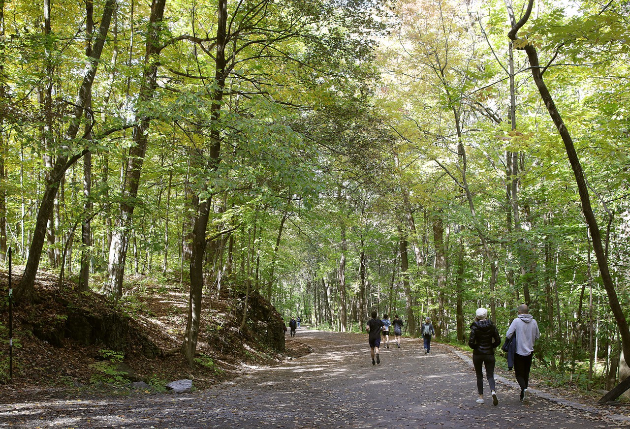 Mount Royal: Adam Caruso | News | Caruso St John Architects