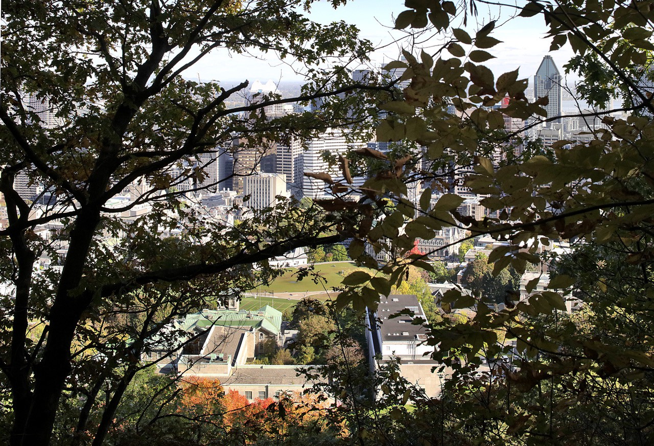 Mount Royal: Adam Caruso | News | Caruso St John Architects